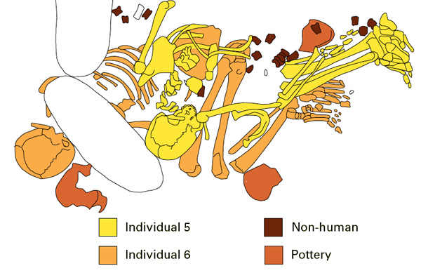 Celtic Sacrifice - Archaeology Magazine Archive