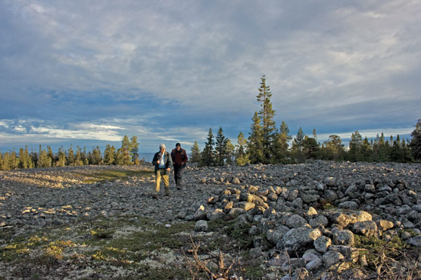 Native Sweden - Archaeology Magazine Archive
