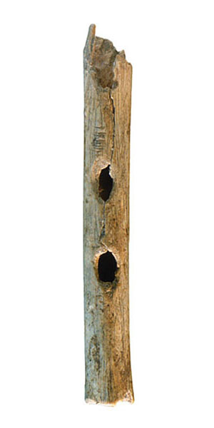 Rock Music - Archaeology Magazine Archive