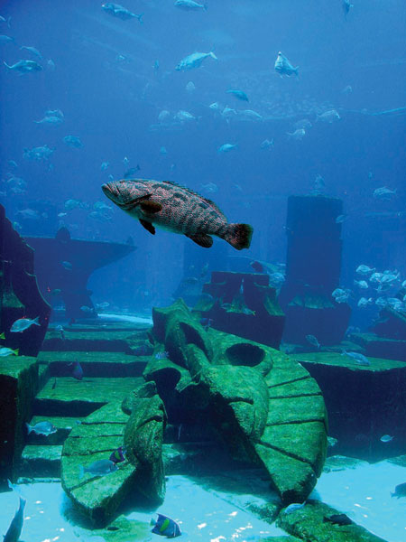 Letter from Dubai- Arise Atlantis! - Archaeology Magazine Archive