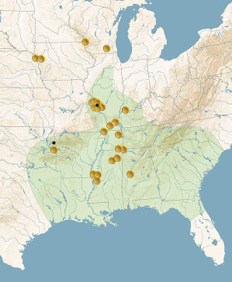 America's First Pastime - Archaeology Magazine Archive