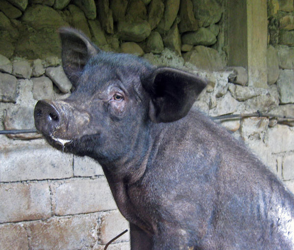 Archaeology Magazine - World Roundup, July/August 2010 - Archaeology ...