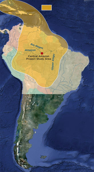 Archaeology Magazine - Letter from Brazil: Uncovering the Arawaks ...