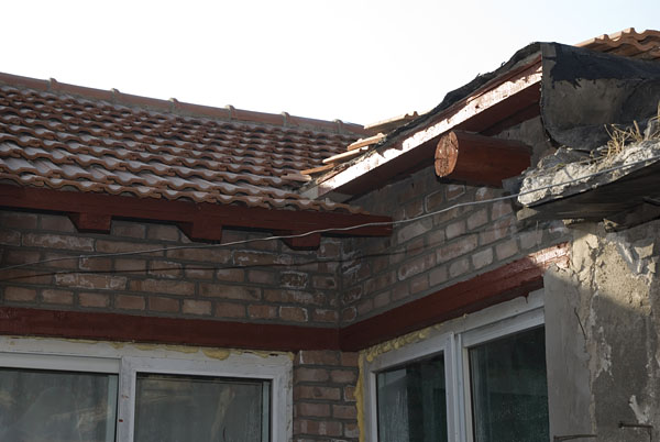 Interview with Mr. and Mrs. Luo - Archaeology Magazine Archive