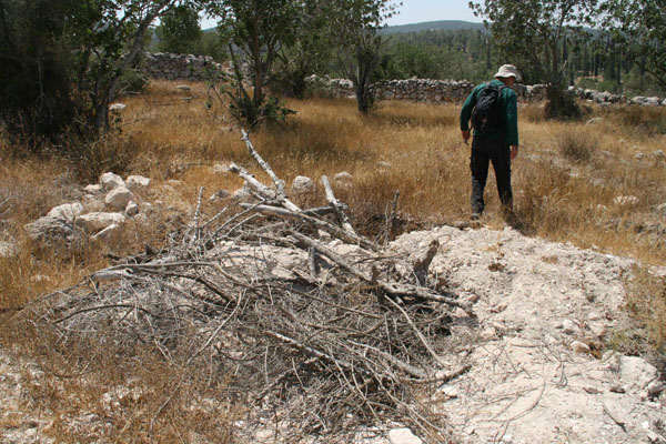 Inside the Israel Antiquities Authority - Interview with Alon, Robbery ...