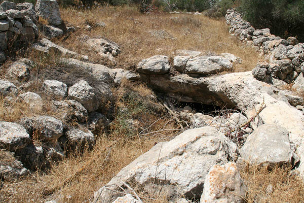 Inside the Israel Antiquities Authority - Interview with Alon, Robbery ...