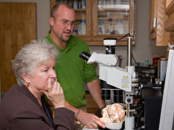 The Skull of Doom - Under the Microscope - Archaeology Magazine Archive