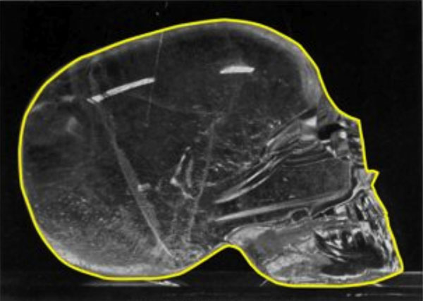 The Skull of Doom - Under the Microscope - Archaeology Magazine Archive