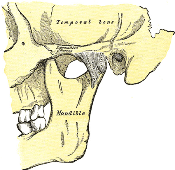 Screaming Mummies! - Archaeology Magazine Archive