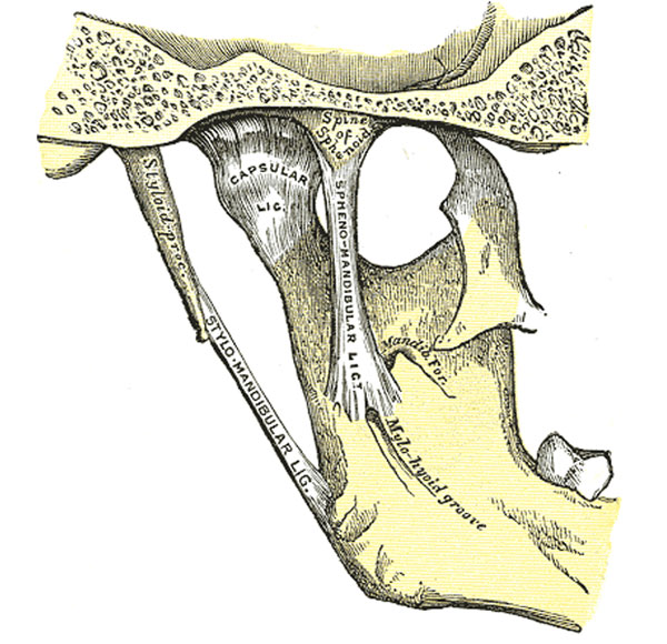Screaming Mummies! - Archaeology Magazine Archive