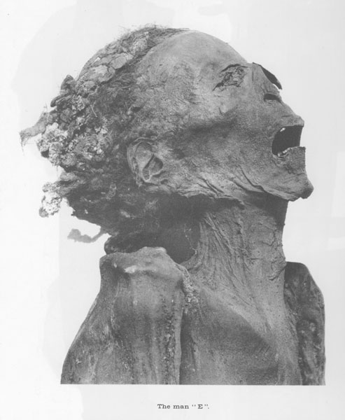 Screaming Mummies! - Archaeology Magazine Archive