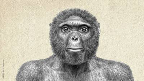 Our Latest Ancestor? - Archaeology Magazine Archive